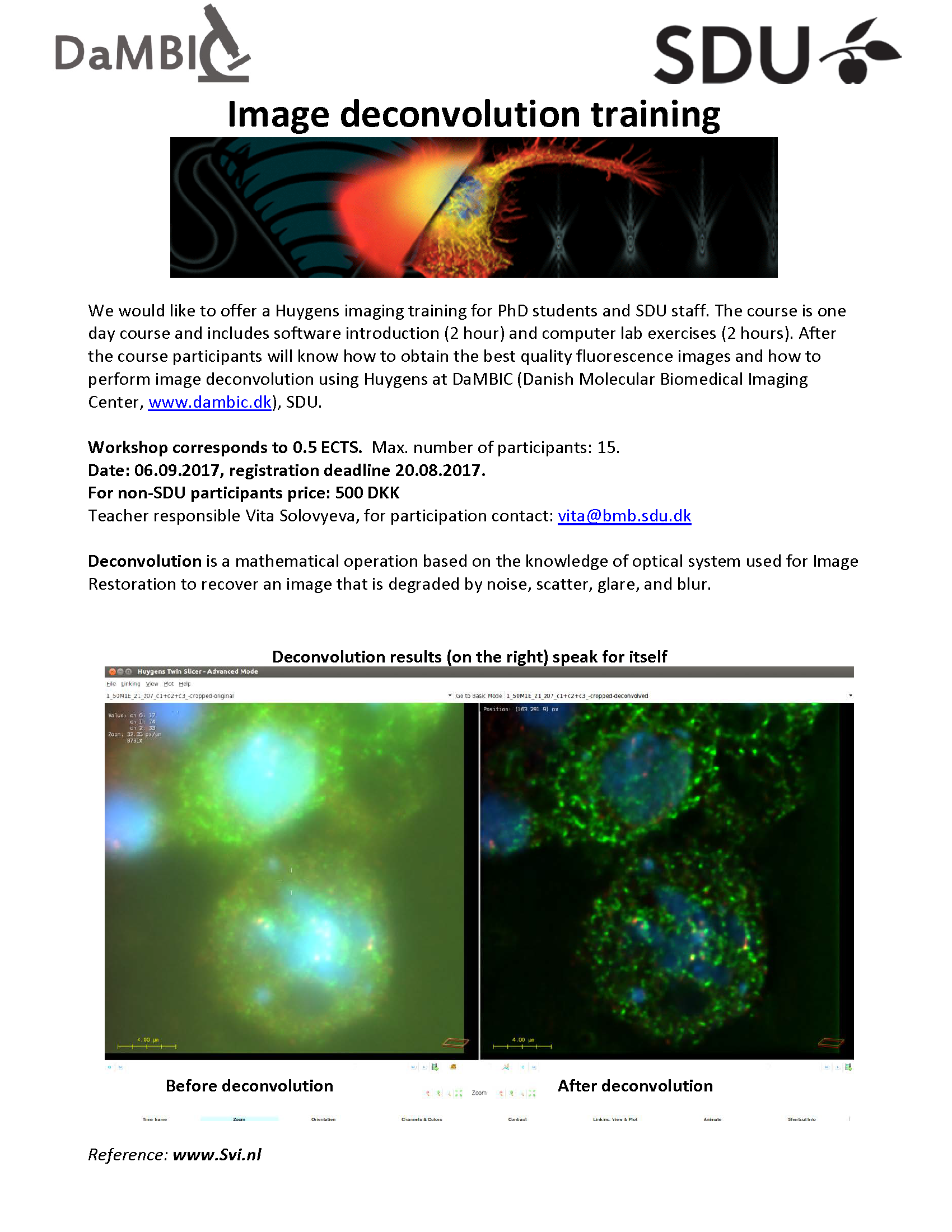 Image deconvolution training – Danish BioImaging Network