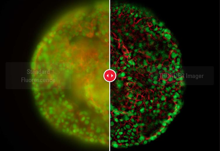 Leica THUNDER Live Cell – HANDS-ON SYSTEM DEMONSTRATION – Danish ...